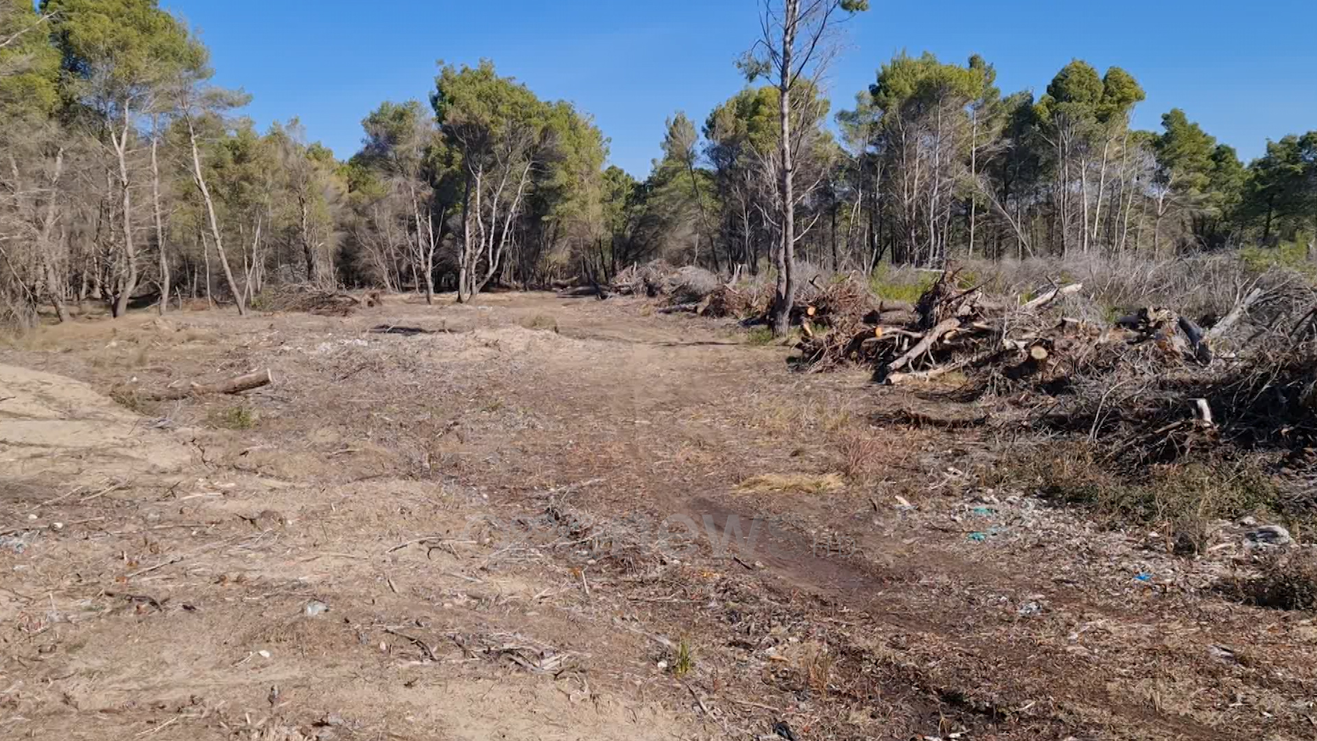 Pylli i Sodës në Vlorë tashmë një vendgrumbullim mbeturinash, i harruar ...