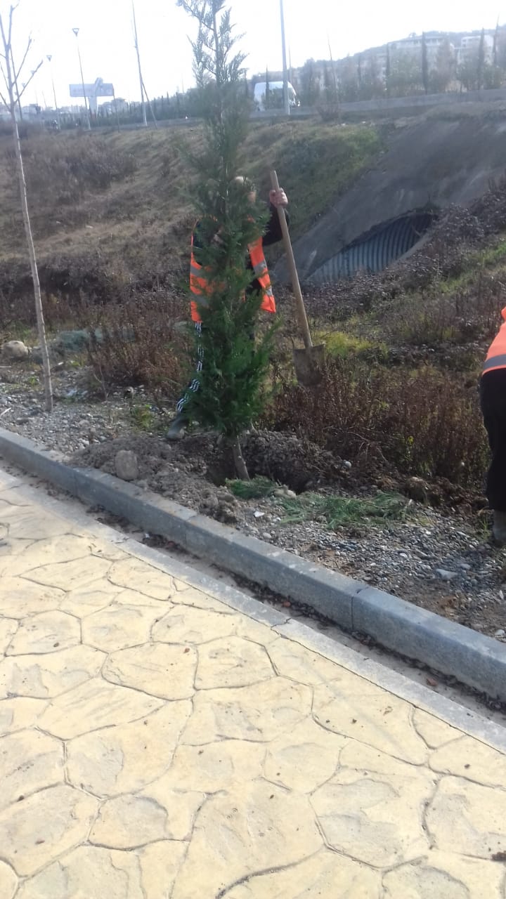 E shtuna ishte ditë mbjelljesh te Parku i Liqenit, Bashkia e Tiranës ... E shtuna ishte ditë mbjelljesh te Parku i Liqenit, Bashkia e Tiranës ...