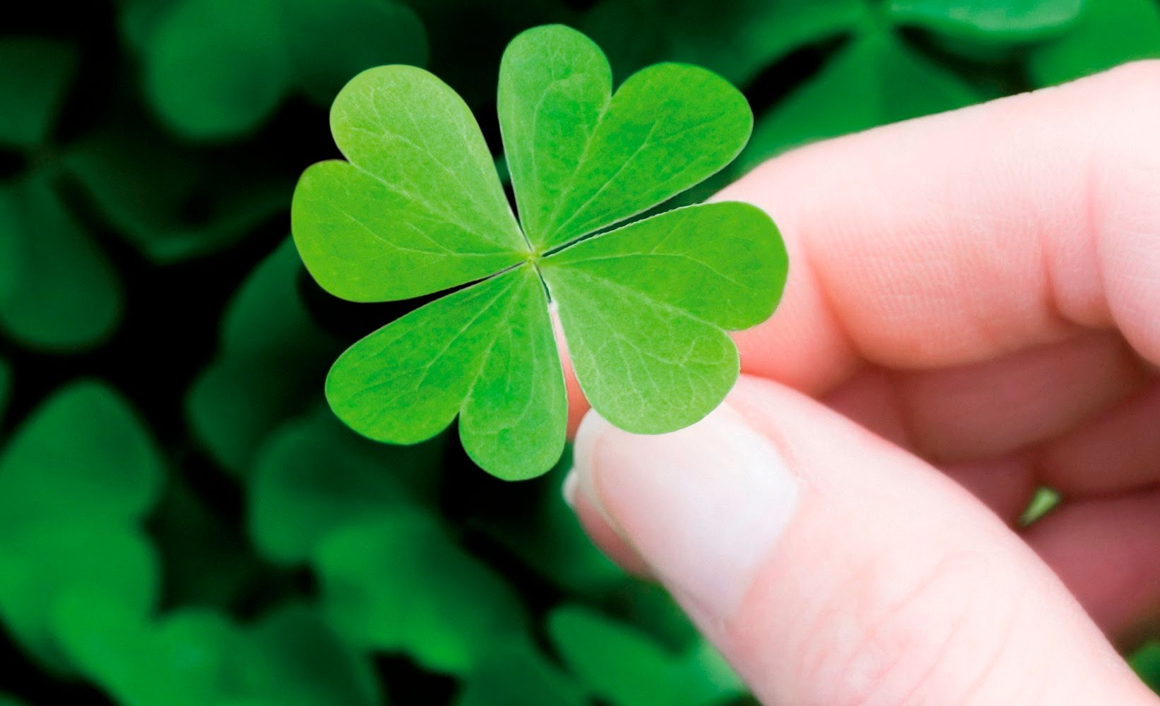 Thyerja e pasqyrës, tërfili me katër fletë, macja e zezë... pse iu ...